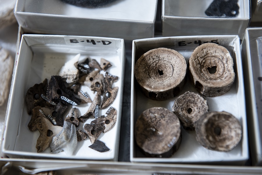 HistoryMiami digs deep for 'It's a Miami Thing' display - ArtburstMiami