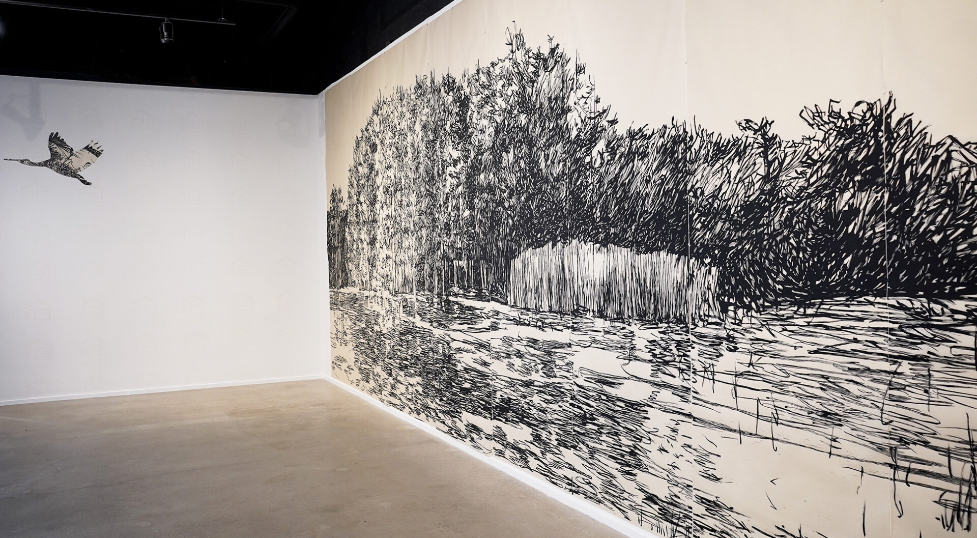 Jennifer Basile explores a disappearing everglades at LnS Gallery ...