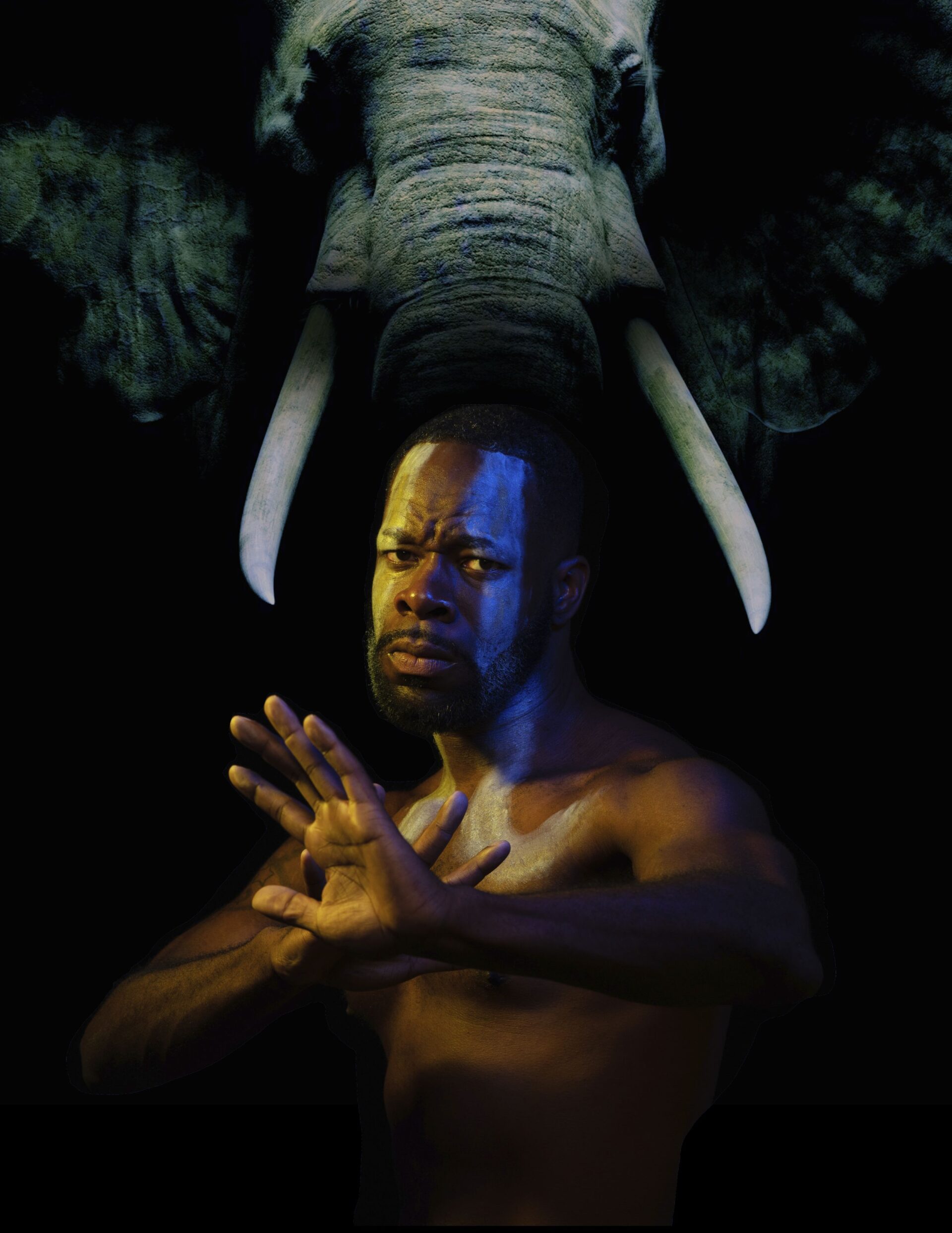 Playwright Lynn Nottage talks high stakes of 'Mlima's Tale,' Zoetic ...