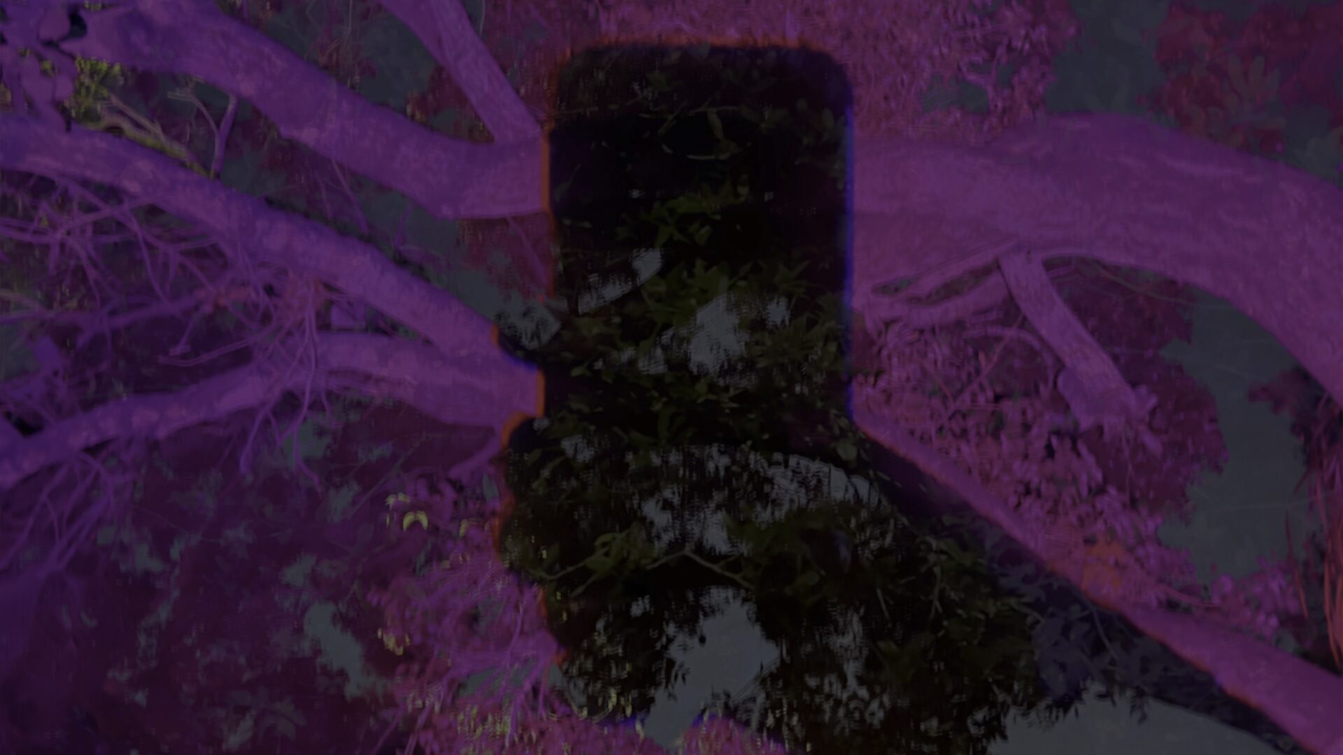 At Locust Projects, final Design District exhibitions push boundaries ...