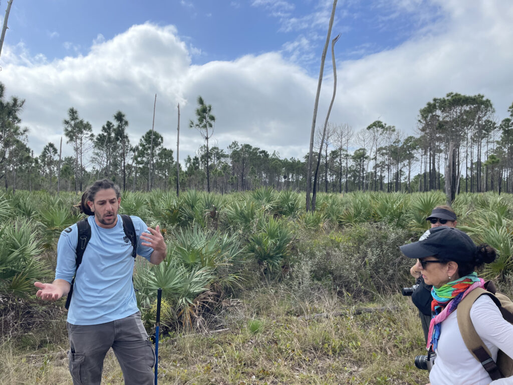 New Topographies: Gabriela Gamboa Brings a Mountain to Miami ...