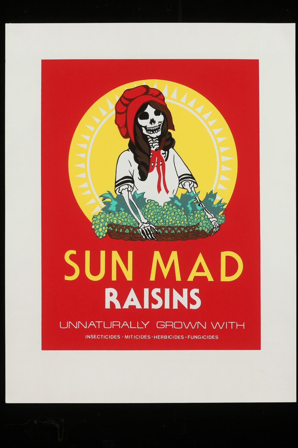 PAMM’s Newest Show Explores What It Means to Be Chicano – Or Chicanx ...
