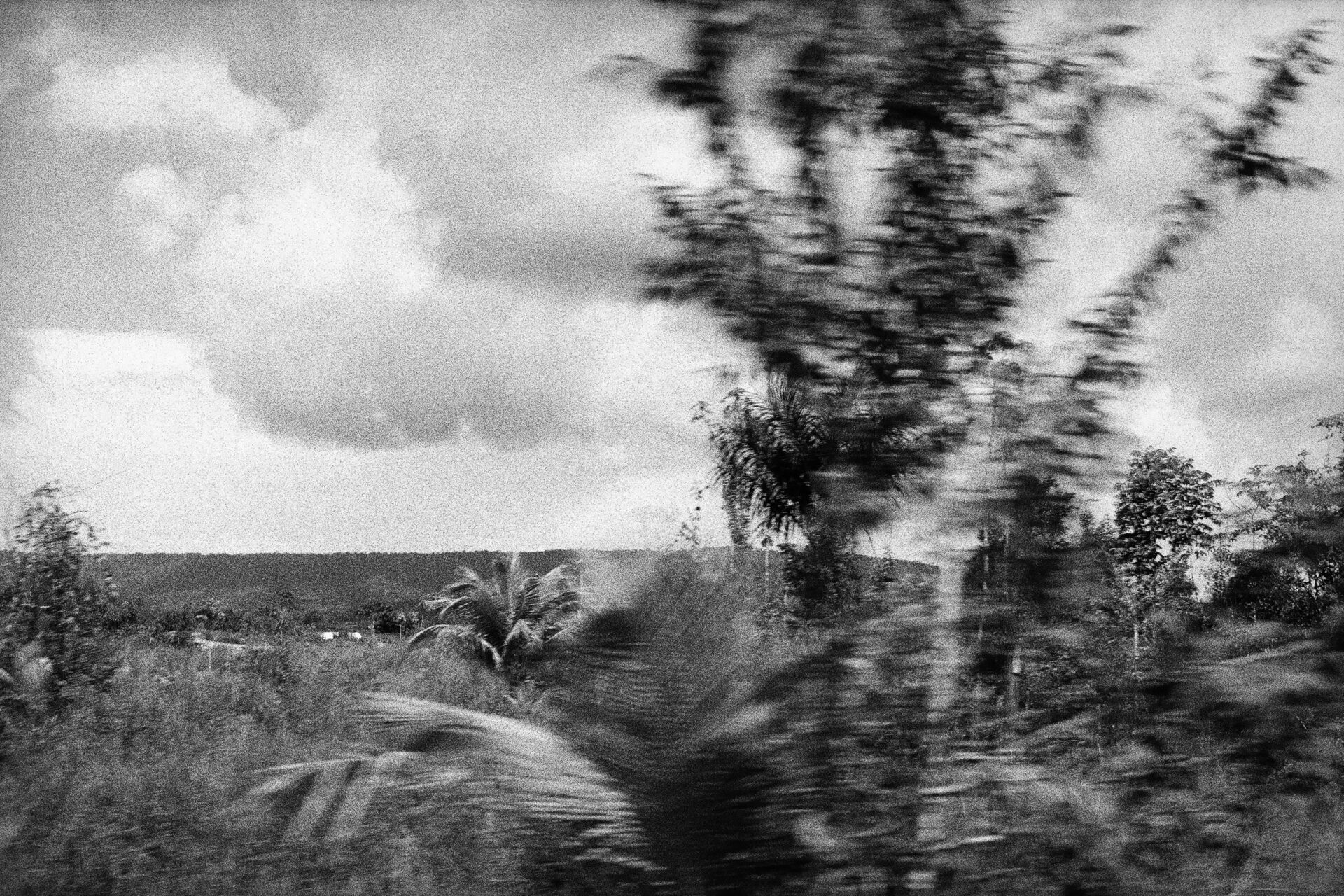 Miami Art Exhibitions: At The Frost Art Museum, Three Artists Make 'Of ...