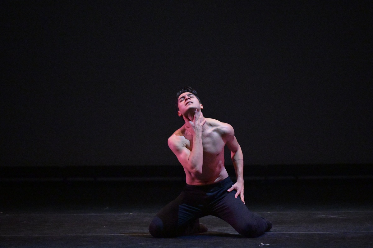 Five Years Strong: 'Men Who Dance' Festival Showcases the Best of Male ...
